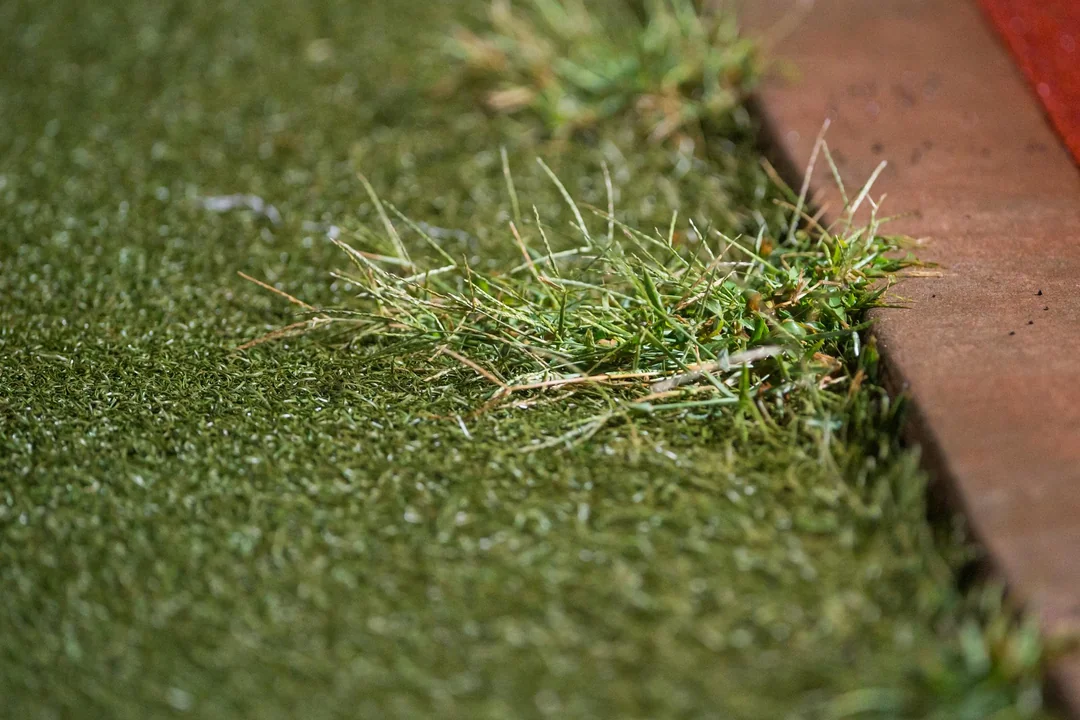 Why Does Artificial Turf Get Weeds and How to Clean Them? - TGOP